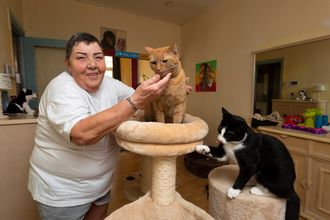 Kat Igor maakt ‘wereldreis’ van zeventig kilometer in drie maanden: ‘We ...