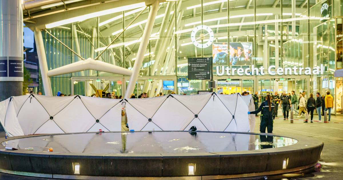 Weer een steekpartij rond Utrecht CS: man (57) gewond aan been, dader ...
