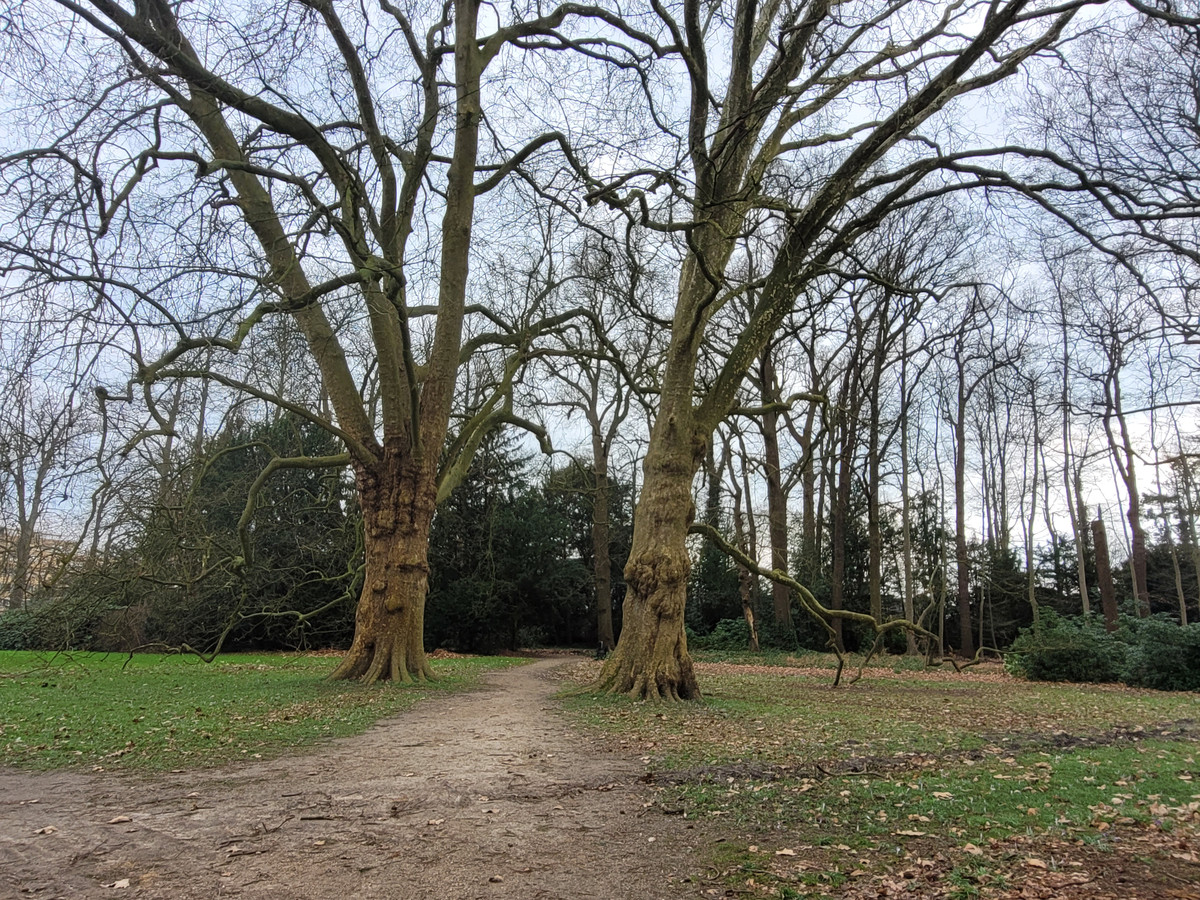 Restauratie Kasteelpark Geldrop twee maanden vertraagd; bouw van poort ...