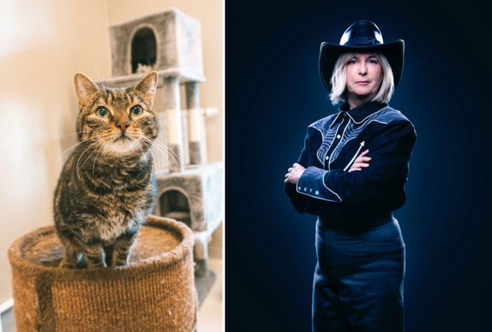 Haal Toos of Leila in huis: katten in Gents dierenasiel vernoemd naar ...