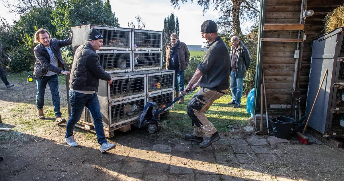 Dierenopvang Flappus Zwolle kan groei niet aan, rekeningen van deze ...