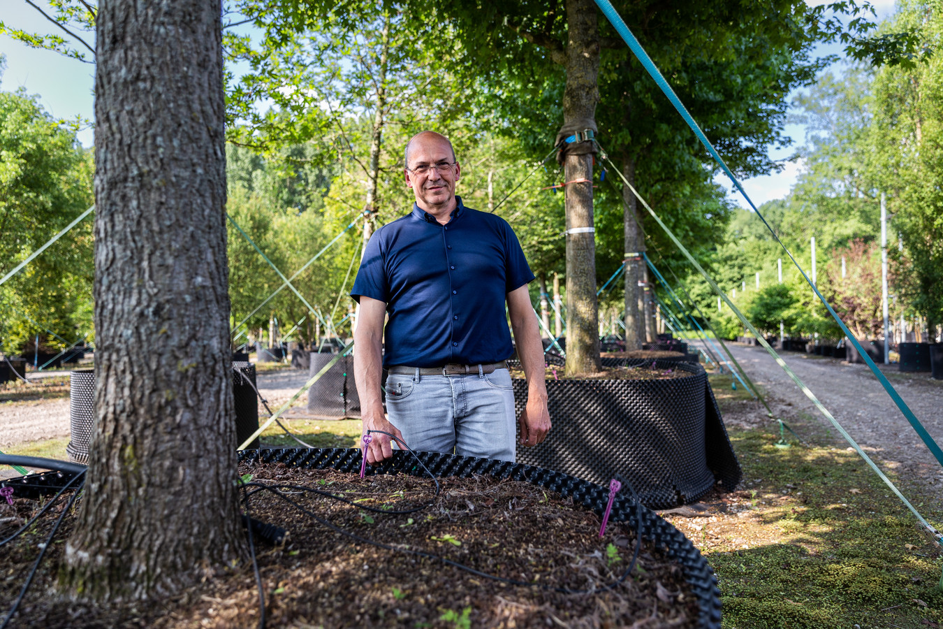 Rooise kweker Van den Berk plant wereldwijd zijn bomen, en heel soms ...