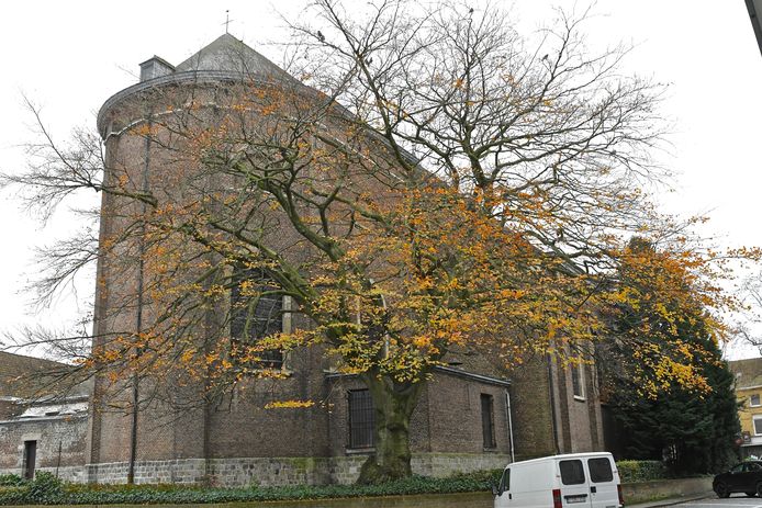 Beuk achter Sint-Vedastuskerk verkozen tot mooiste boom van Menen ...