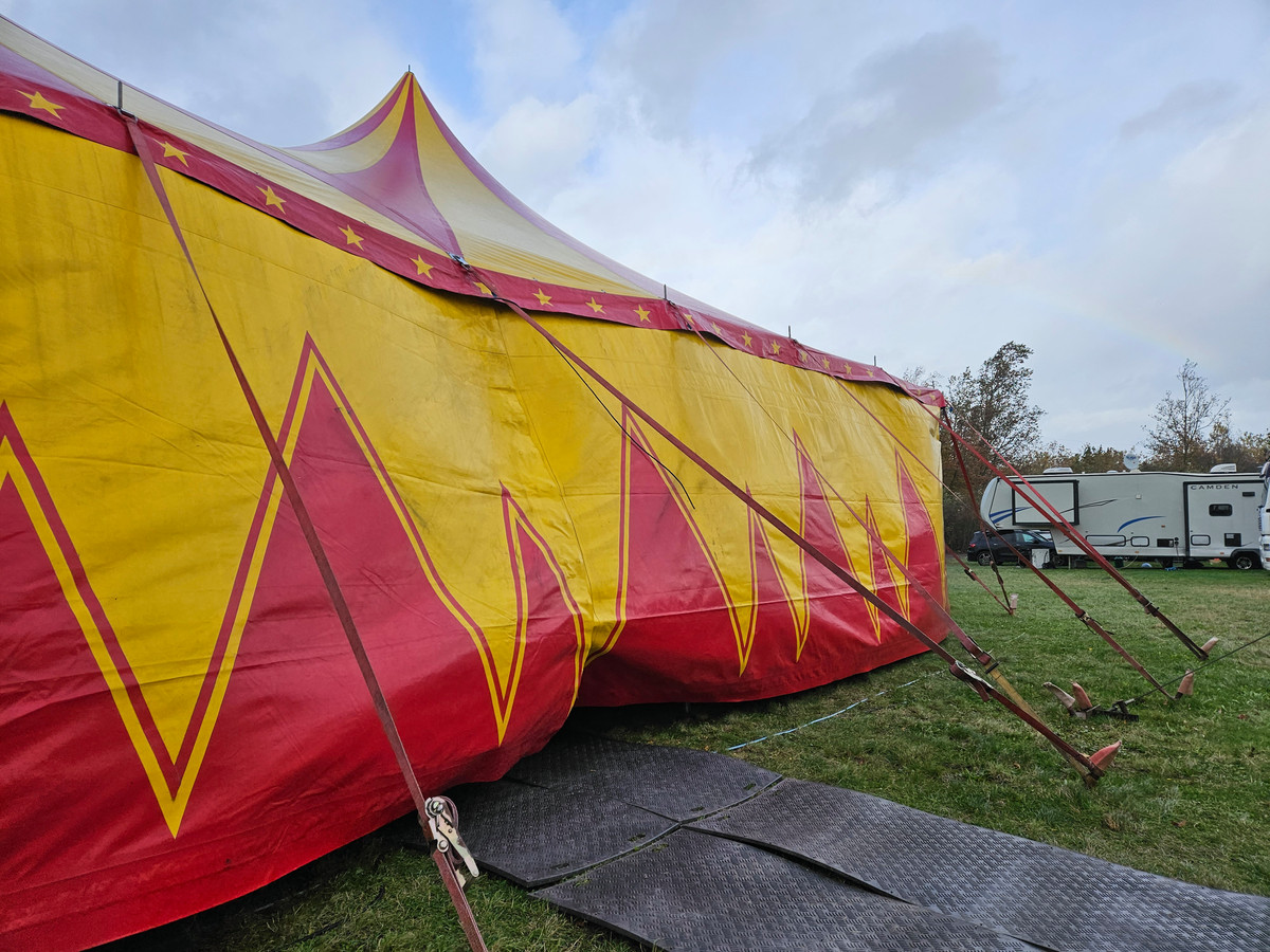 Storm doet Circus Barones voorstelling afgelasten: “Een tent die is ...