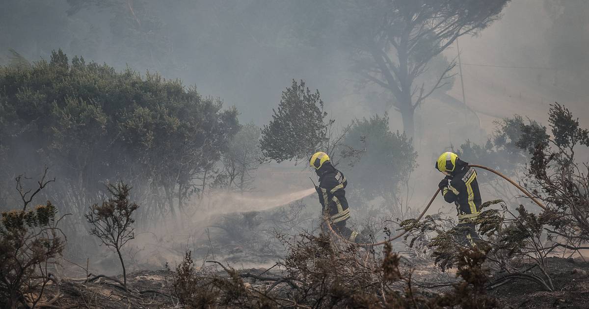 Bosbrand legt 7.000 hectare in de as in Portugal | Nieuws | hln.be