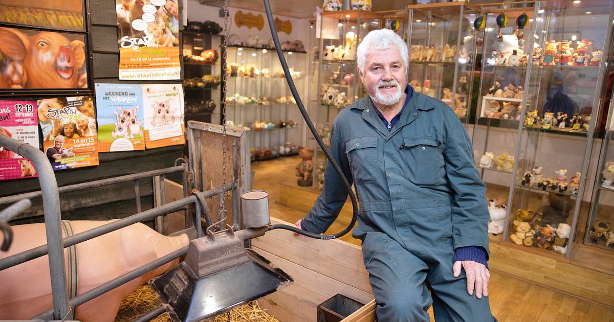 Boer Bert wil van zijn 10.000 varkentjes af: ‘Een beetje pijn doet het ...