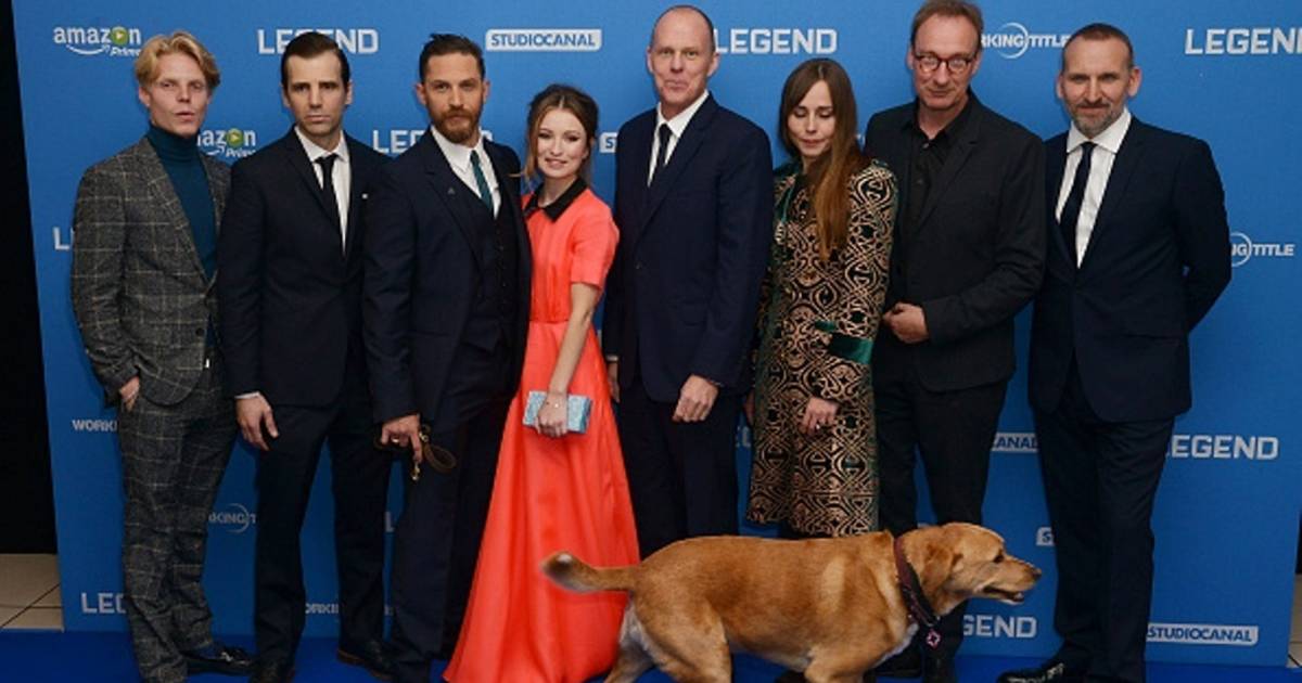 Labrador van Tom Hardy verovert harten op rode loper | Film | hln.be