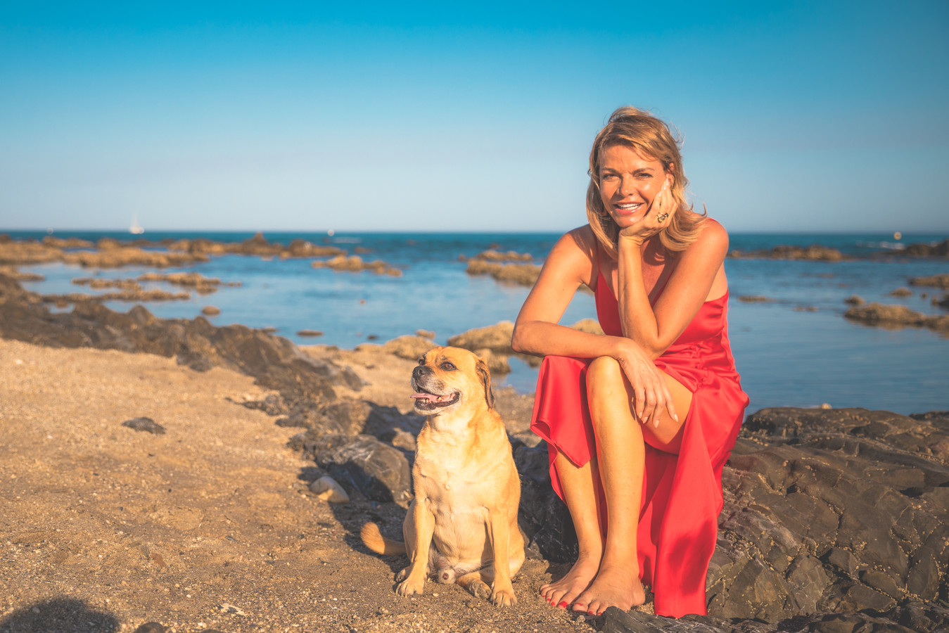 Goedele Liekens niet langer samen met advocaat Edwin: “Ik wil niet de ...