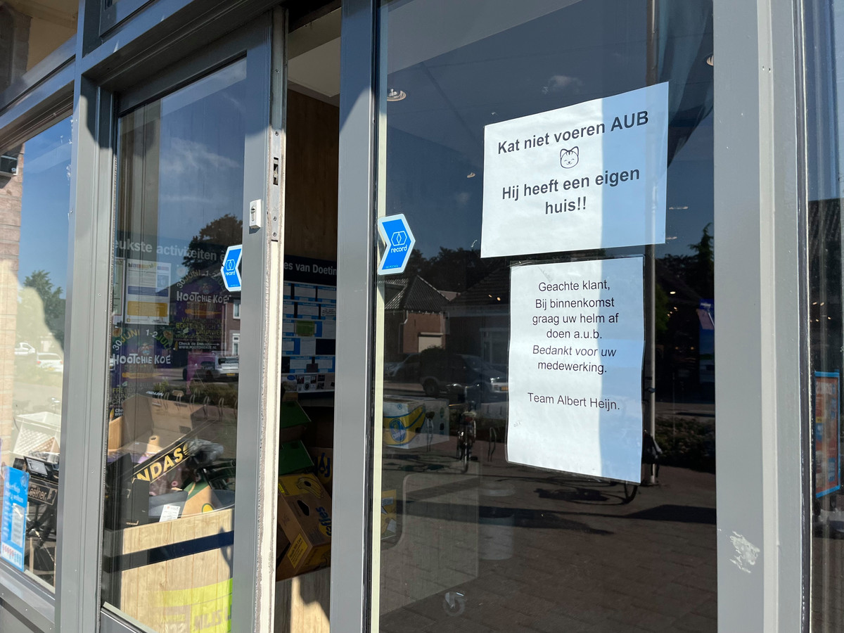 Albert Heijn is aanhankelijke kat in winkel spuugzat: ‘Niet voeren ...