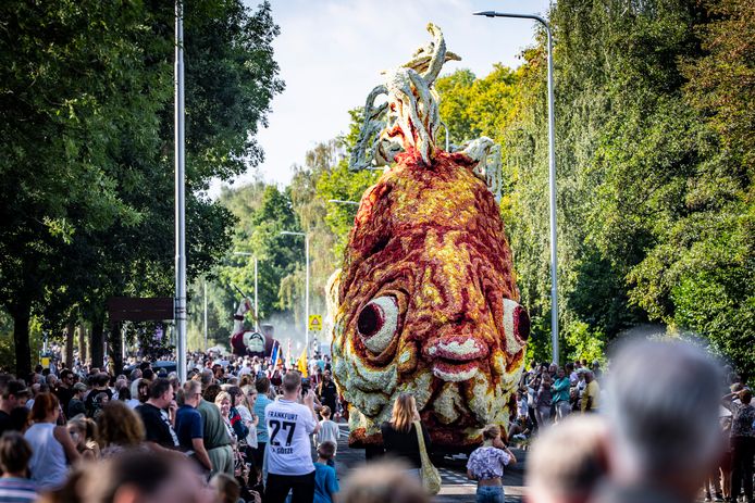‘Sierlijk zwevende, spectaculaire’ goudvis van Hooiland is de grote ...