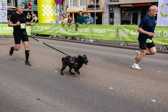 ZIEN. 3.000 lopers zakken af naar 10de editie van Bebat Genk | Genk ...