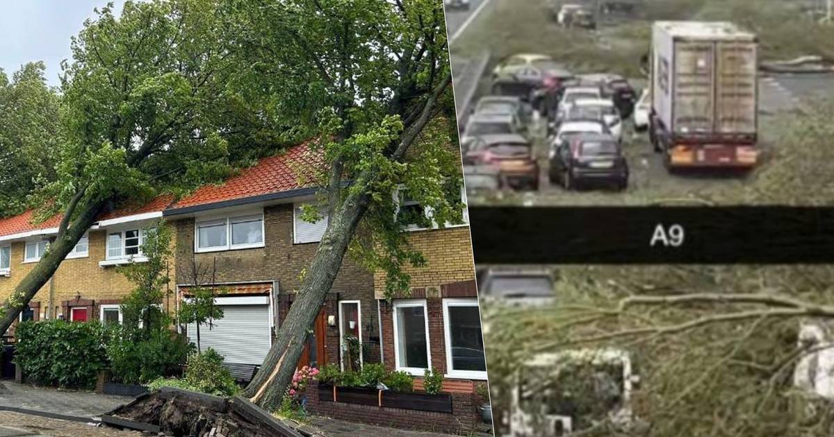 LIVE. Code rood beëindigd in Nederland: “Er is veel te laat alarm ...