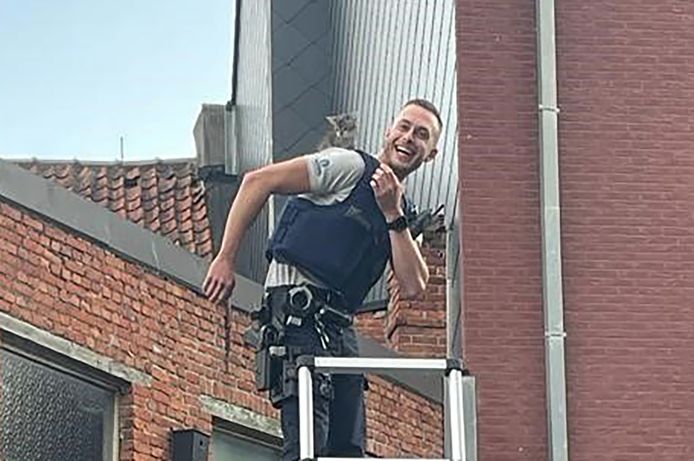 De politie, uw (dieren)vriend: Agent haalt bange kitten van dak ...
