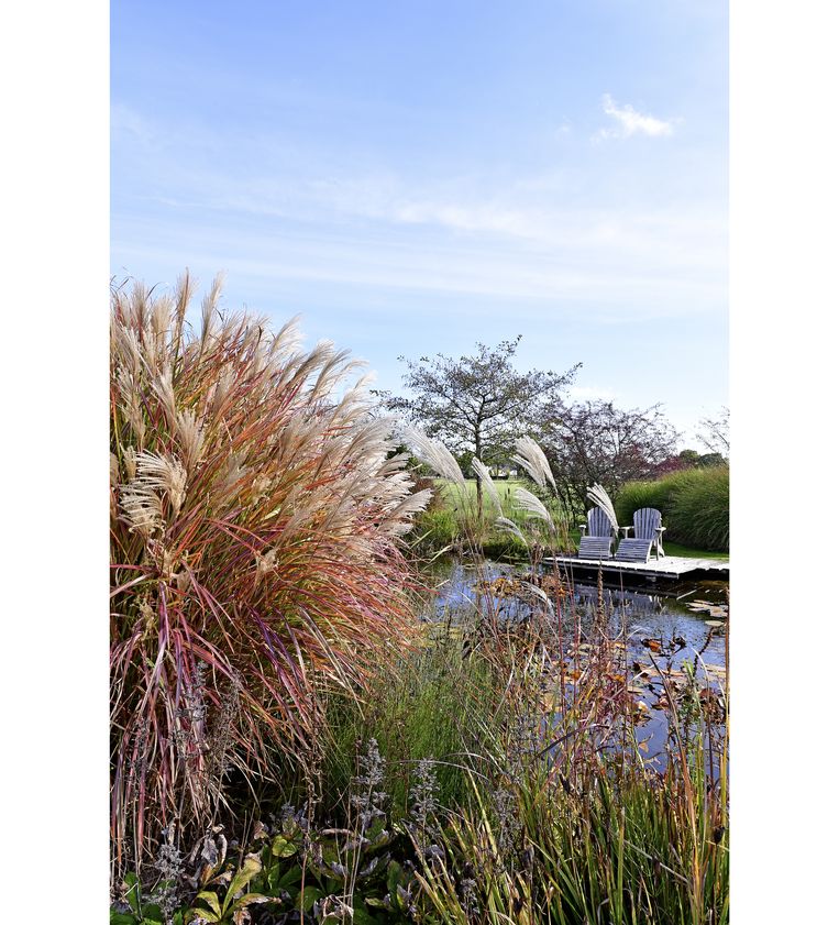 Zo krijg je een tuin vol wuivende pluimen | Libelle