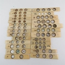 ‘Antoni van Leeuwenhoek nam alles wat hij maar zag mee en legde het ...