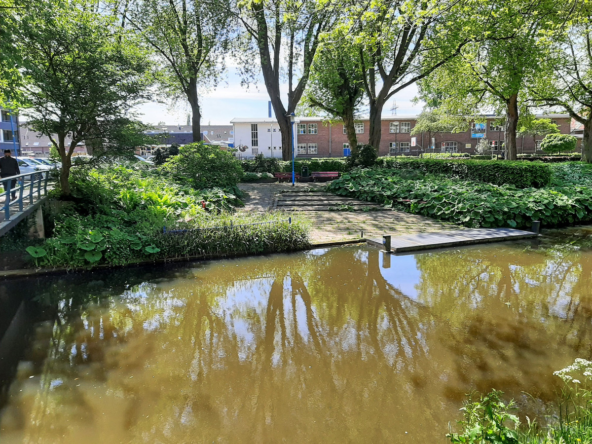 Wie heeft de tuin van Mien gezien? | Foto | gelderlander.nl