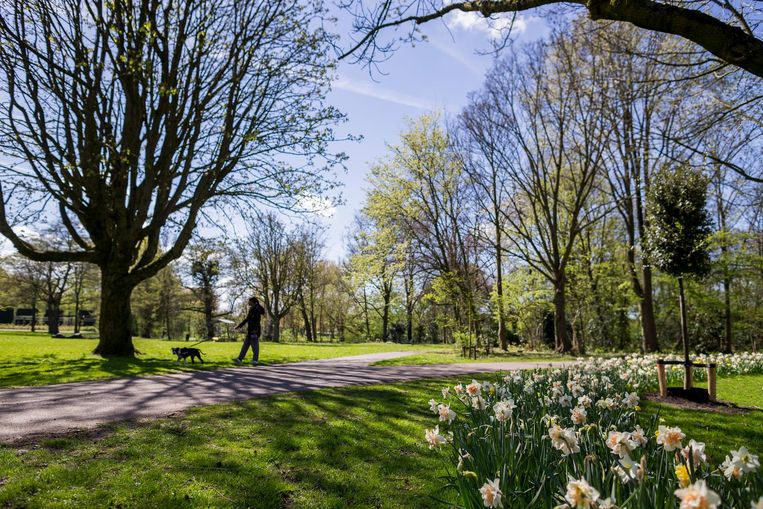 Ruim 6 miljoen voor opknapbeurt Noorderpark | Het Parool