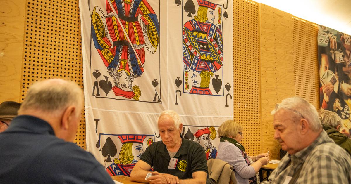 Beveren is gastgemeente voor Belgisch kampioenschap Wiezen | Beveren ...
