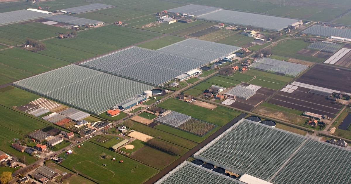 Bodemvervuiling Koekoekspolder groter dan verwacht | Kampen | destentor.nl