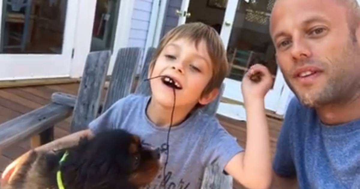 Na de speelgoedhelikopter: Staf en Beau Coppens gebruiken hond om tand ...