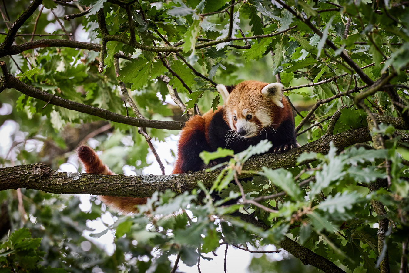 Dit zijn onze meest bijzondere verhalen van de afgelopen week | Foto ...