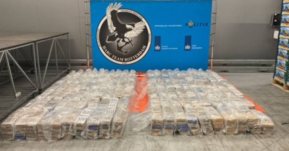 Douane vindt bijna 90 miljoen euro aan cocaïne in container met bananen ...