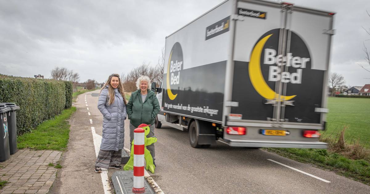 Snelheidsduivels rijden poezen van Chantal één voor één dood: ‘Nee mama ...