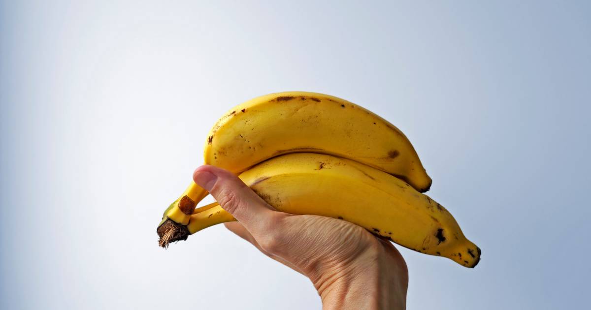 Bananen die je darmen verstoppen is fabel: dit doet de vrucht echt in ...