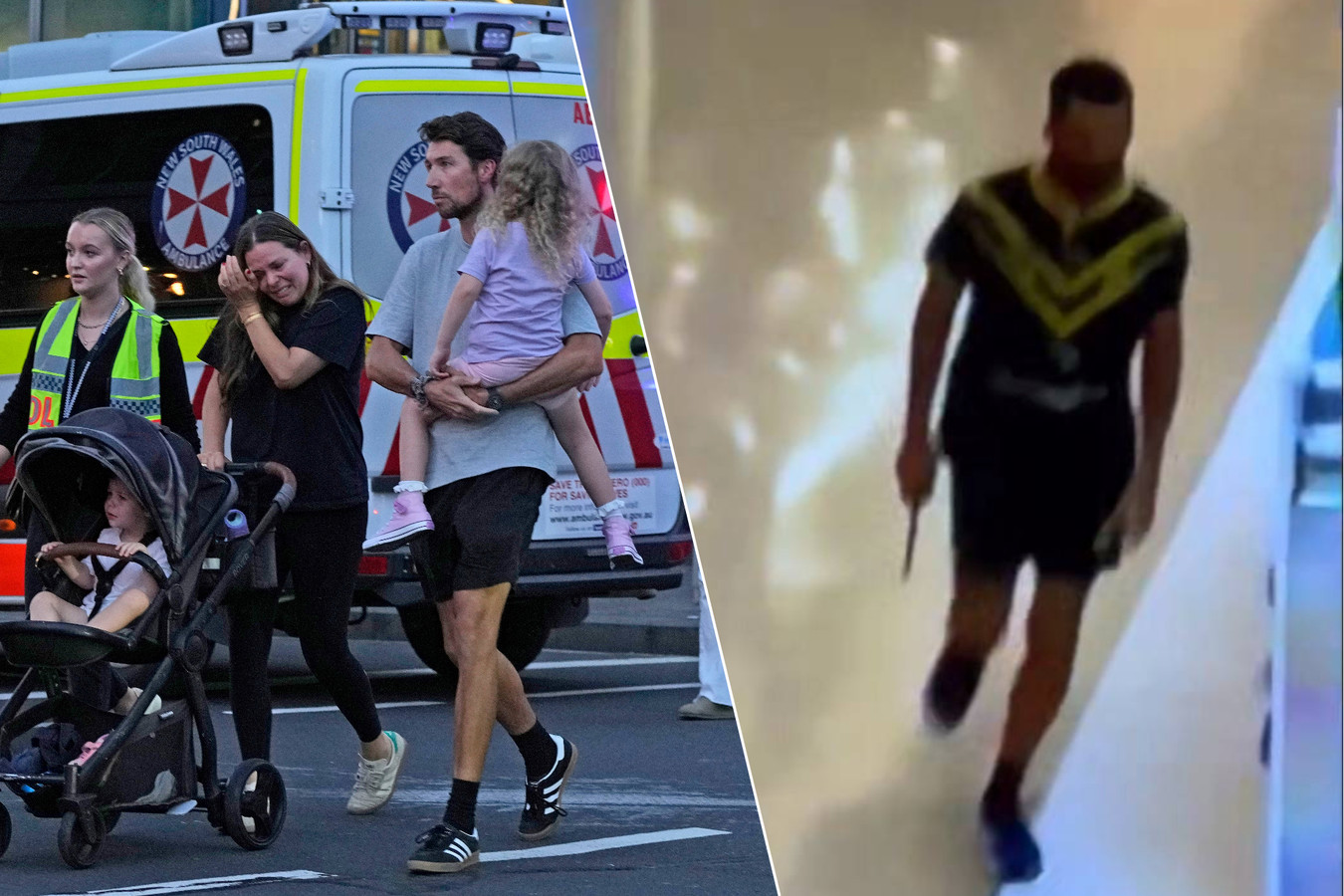 40-jarige dader dodelijke steekpartij Sydney had psychische problemen ... 40-jarige dader dodelijke steekpartij Sydney had psychische problemen ...