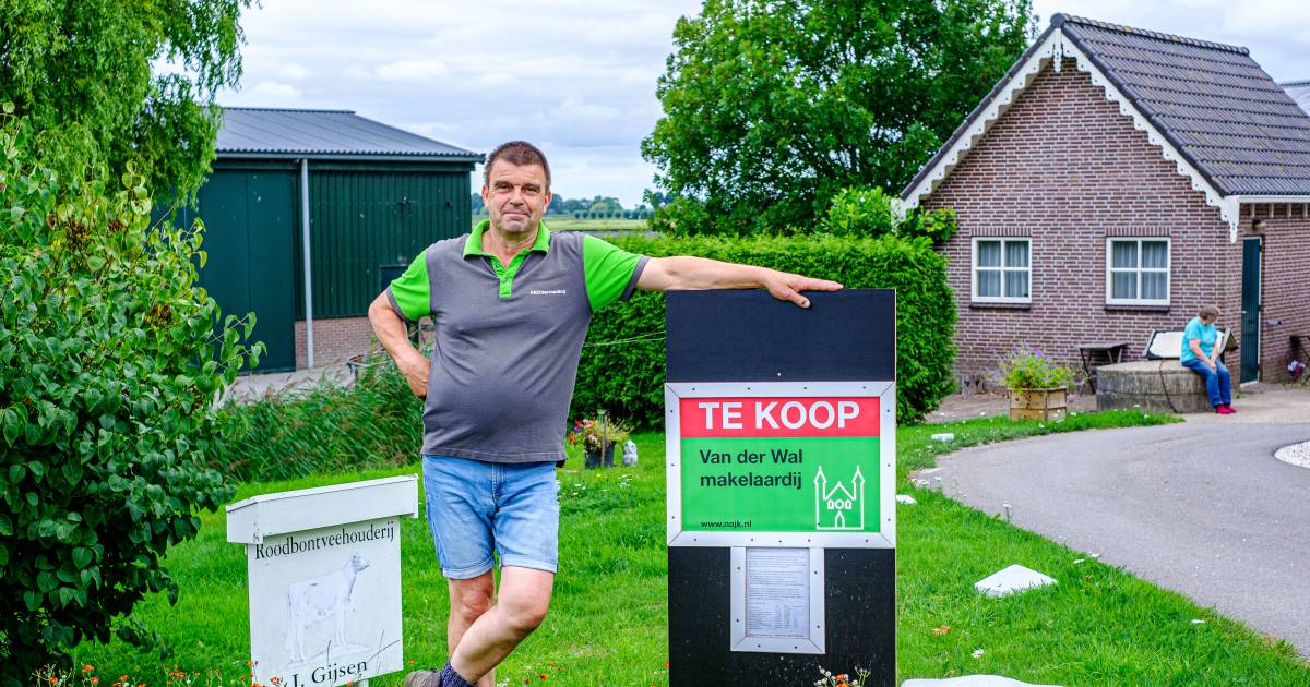 Waarom er overal ‘te koop’-borden opduiken bij boeren (en ze hebben ...