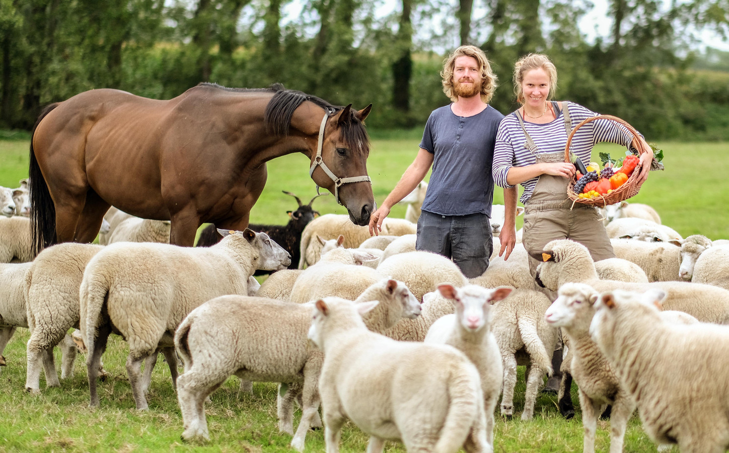 Van een zelfpluktuin in Menen tot vers hoeve-ijs uit Wuustwezel: ontdek ...