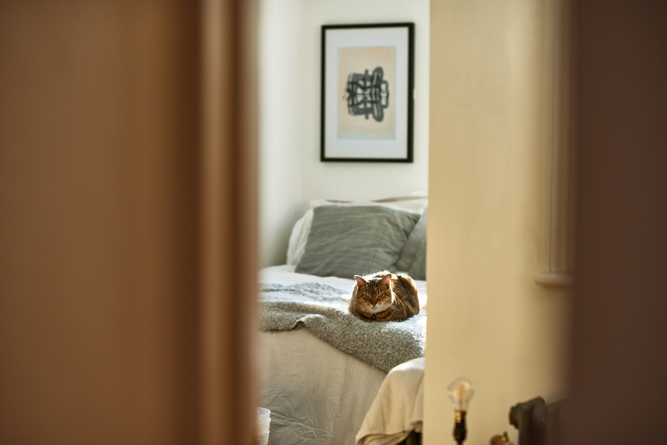 Gênant, de liefde bedrijven als Fifi meekijkt. Beseft je huisdier dat ...