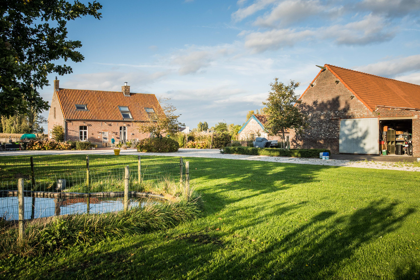 "Weduwe boer Charel en haar zonen leverden speed aan half Vlaanderen ...