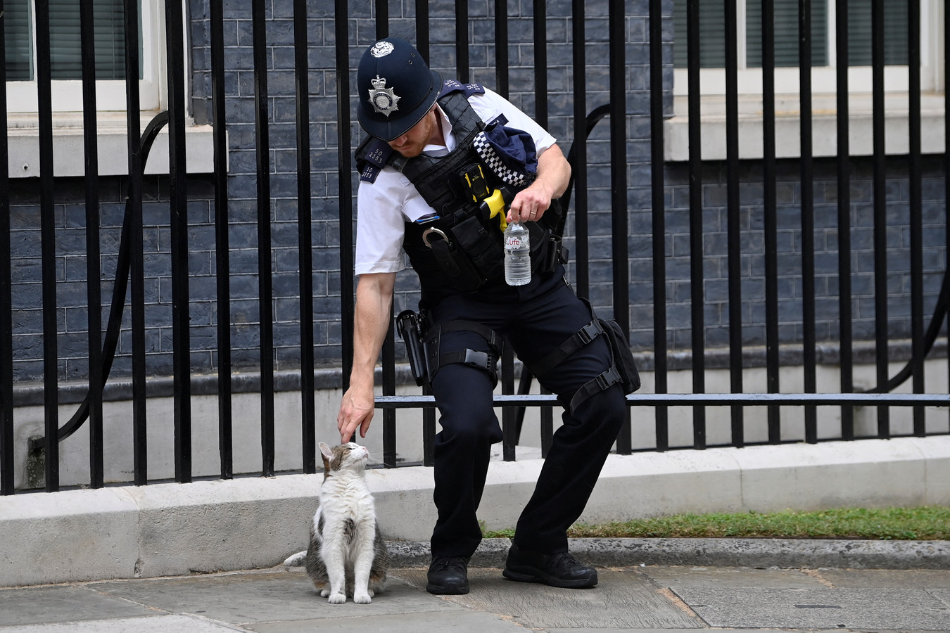 Larry 4 leader: Kat Downing Street ‘doet mee’ aan strijd Britse ...