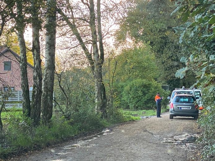 Politie valt binnen bij kennels van ‘broodfokker’ Felicanis: “We zorgen ...