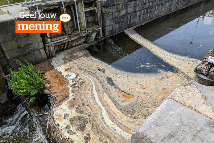 OPROEP. Deed het stadsbestuur voldoende om de vervuiling van de Oude ...