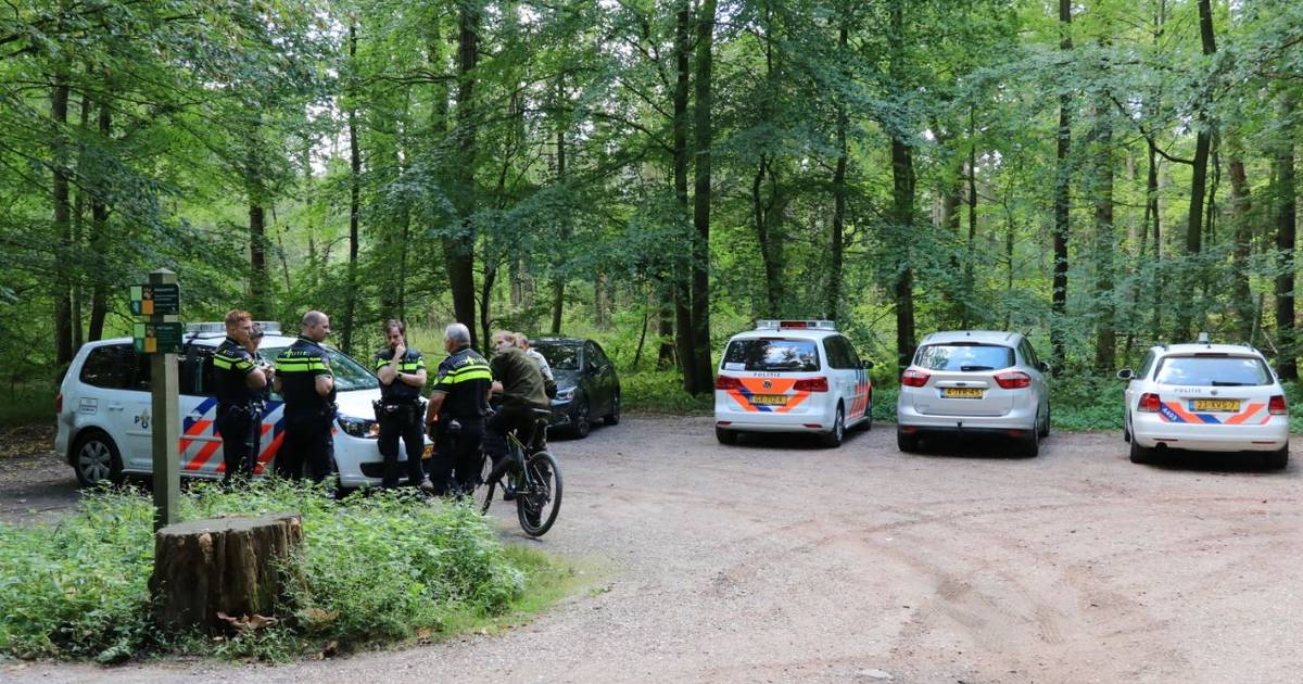 Vermiste man gevonden na grote zoekactie in bos Enschede | Enschede | tubantia.nl