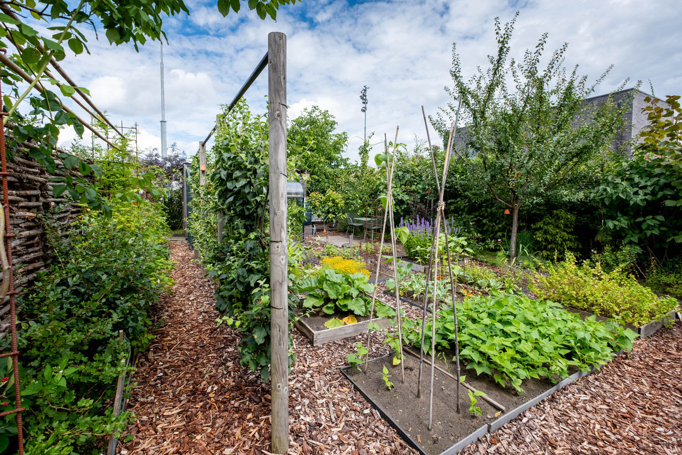 MIJN TUIN. Rit en John toverden kleine stadstuin om tot groene oase vol ...