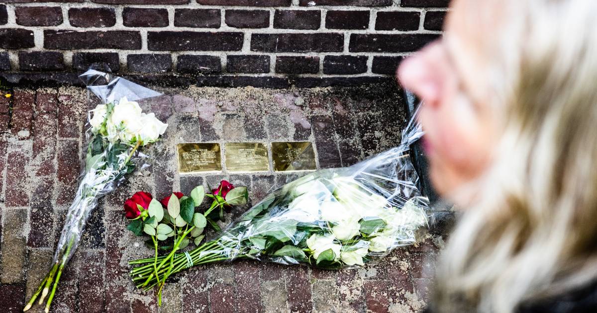 Drie Stolpersteine gelegd voor vermoorde Dordts-joodse familie | Dordrecht | AD.nl