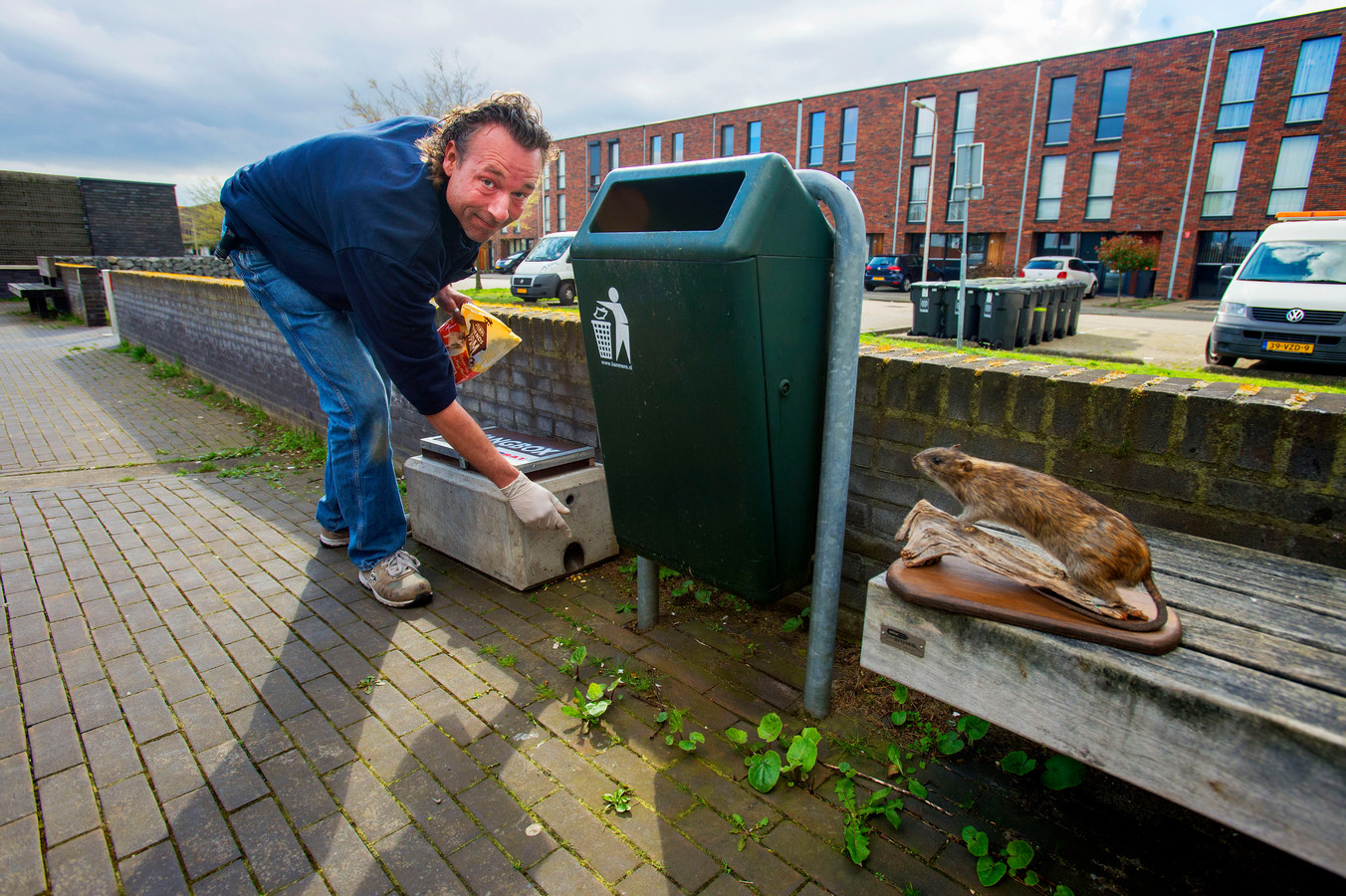 Tilburg gaat ratten te lijf met pindakaas en speciale vangbox | Foto ...