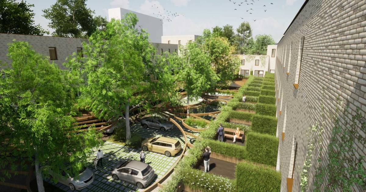 Vlaardingse groene, autoluwe wijk De Heemtuinen in aantocht: 179 nieuwe ...