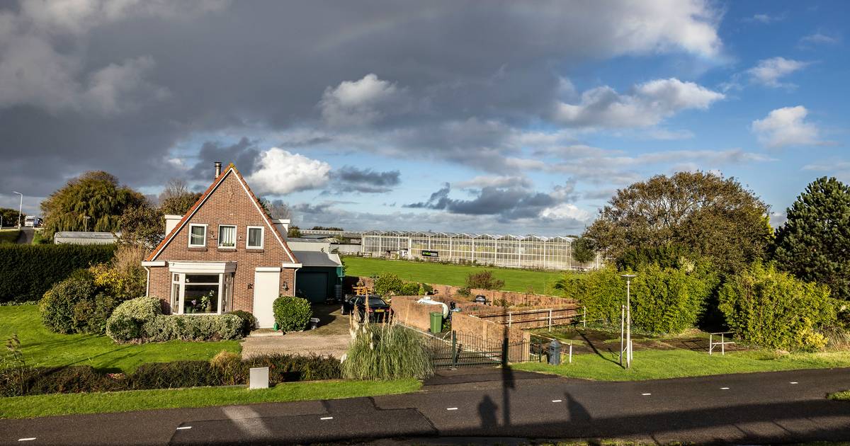 Plan voor huisvesting van arbeidsmigranten aan de Zijdijk gehalveerd: 104 bedden | Westland | AD.nl