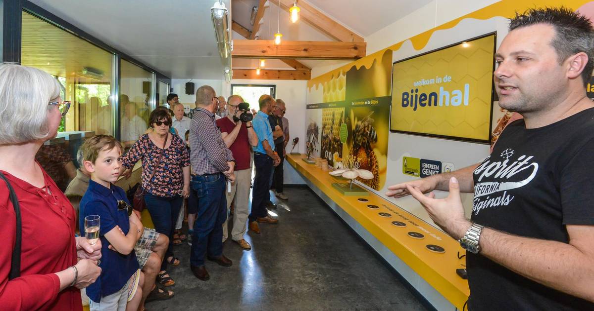 Bijenhal krijgt interactieve facelift | Genk | hln.be