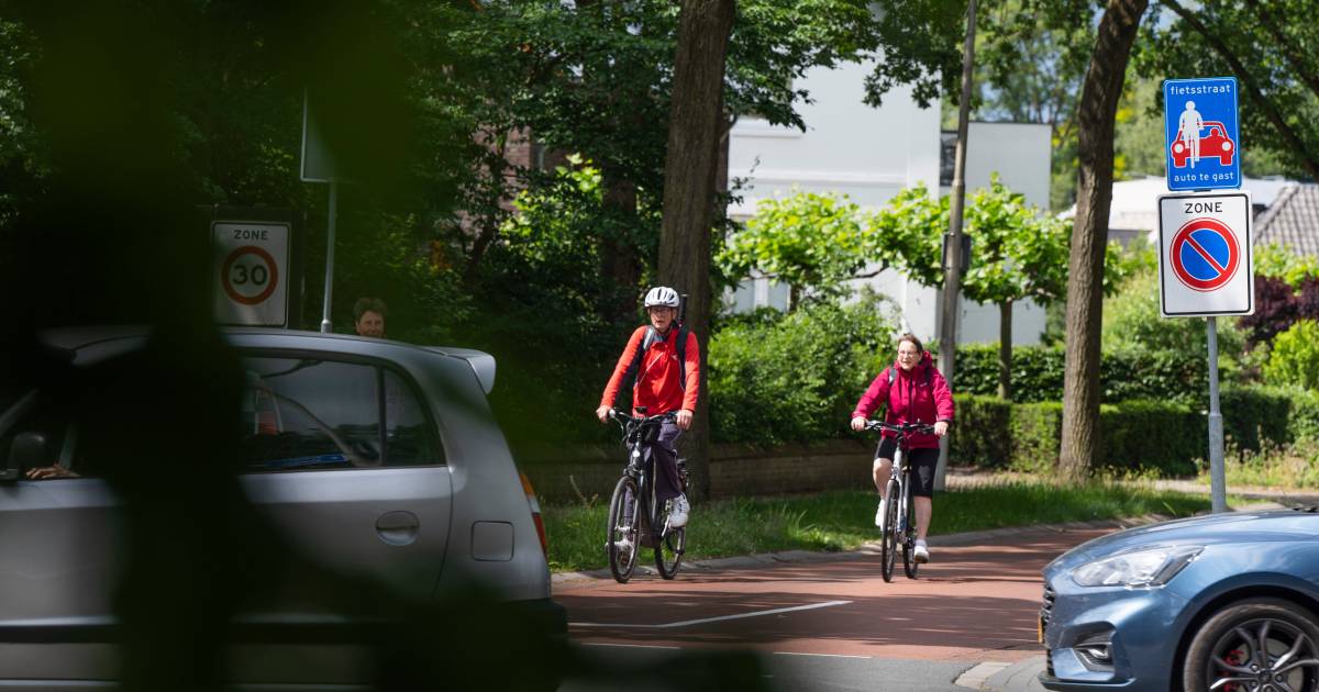 Op fietsstraat is auto te gast, maar hoe moet de gast zich gedragen ...
