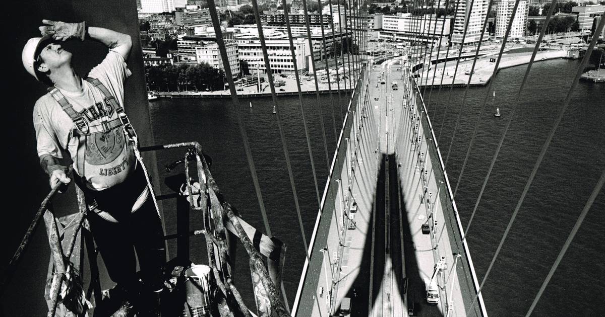 Vuistdik Rotterdam-boek ode aan veelgeprezen metropool | Rotterdam | AD.nl