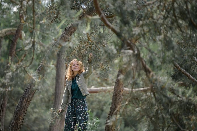 De natuur is een onuitputtelijke inspiratiebron voor kunstenares Sarah ...