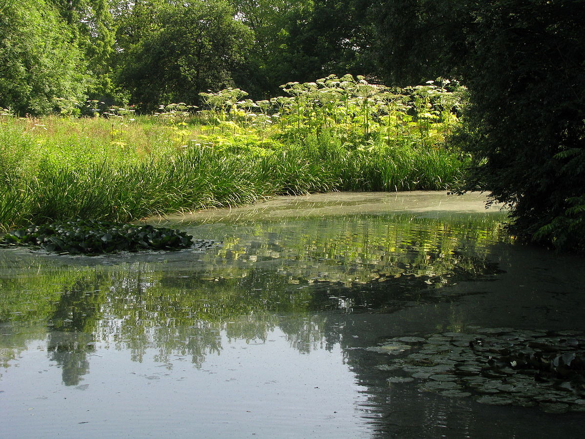 Provincie voorziet extra gegidste natuurwandelingen in De Brielmeersen ...