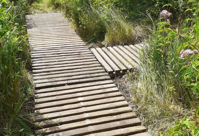 Populair wandelpad in Nijmeegse botanische tuin in beroerde staat, maar ...