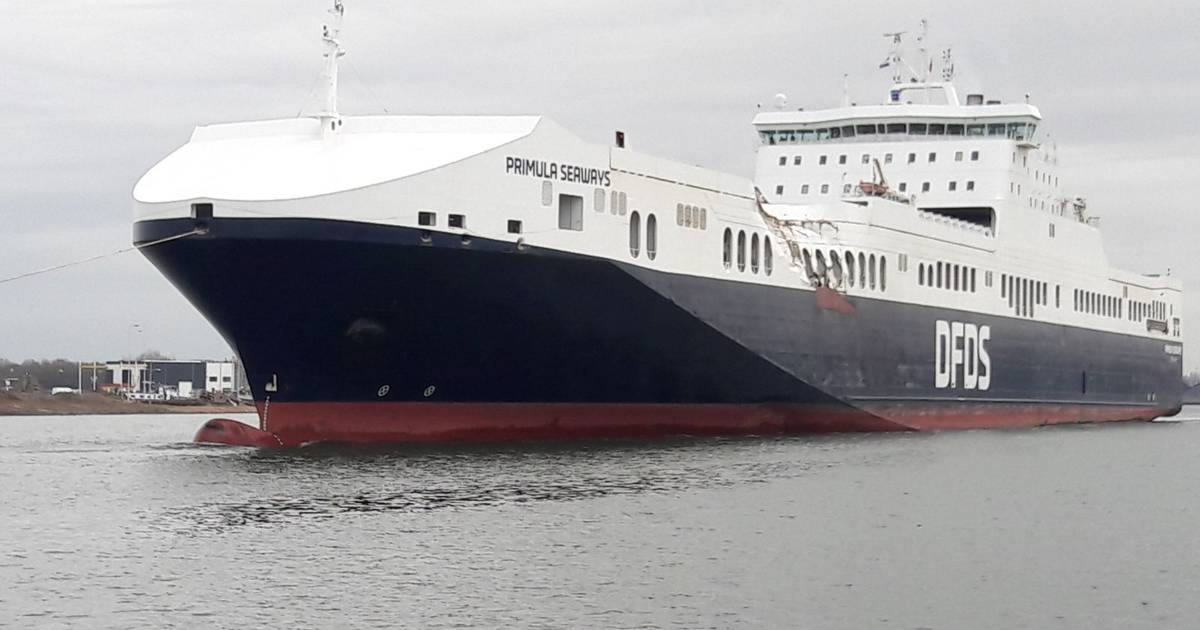 Primula Seaways nu pas vertrokken | Zeeuws-Vlaanderen | pzc.nl