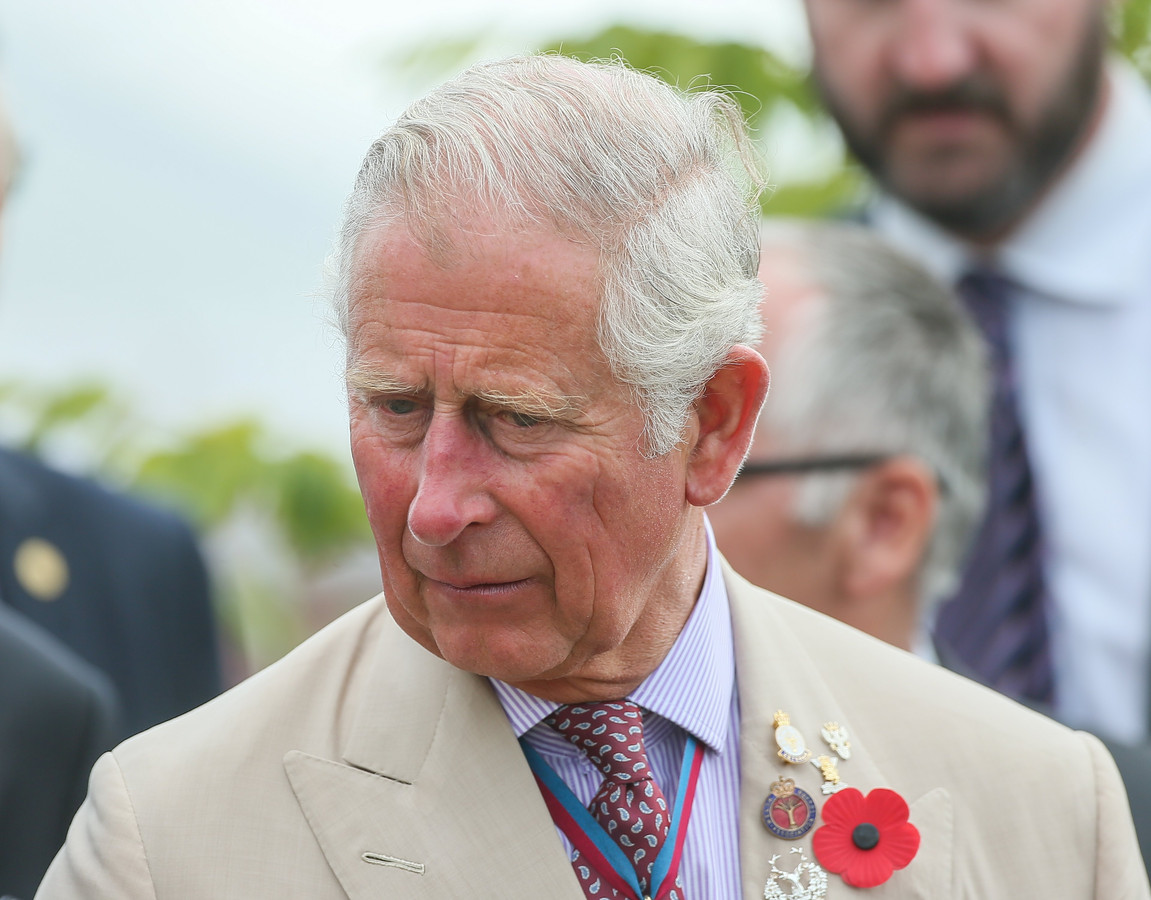 Prins Charles zit in het verdomhoekje | Foto | destentor.nl